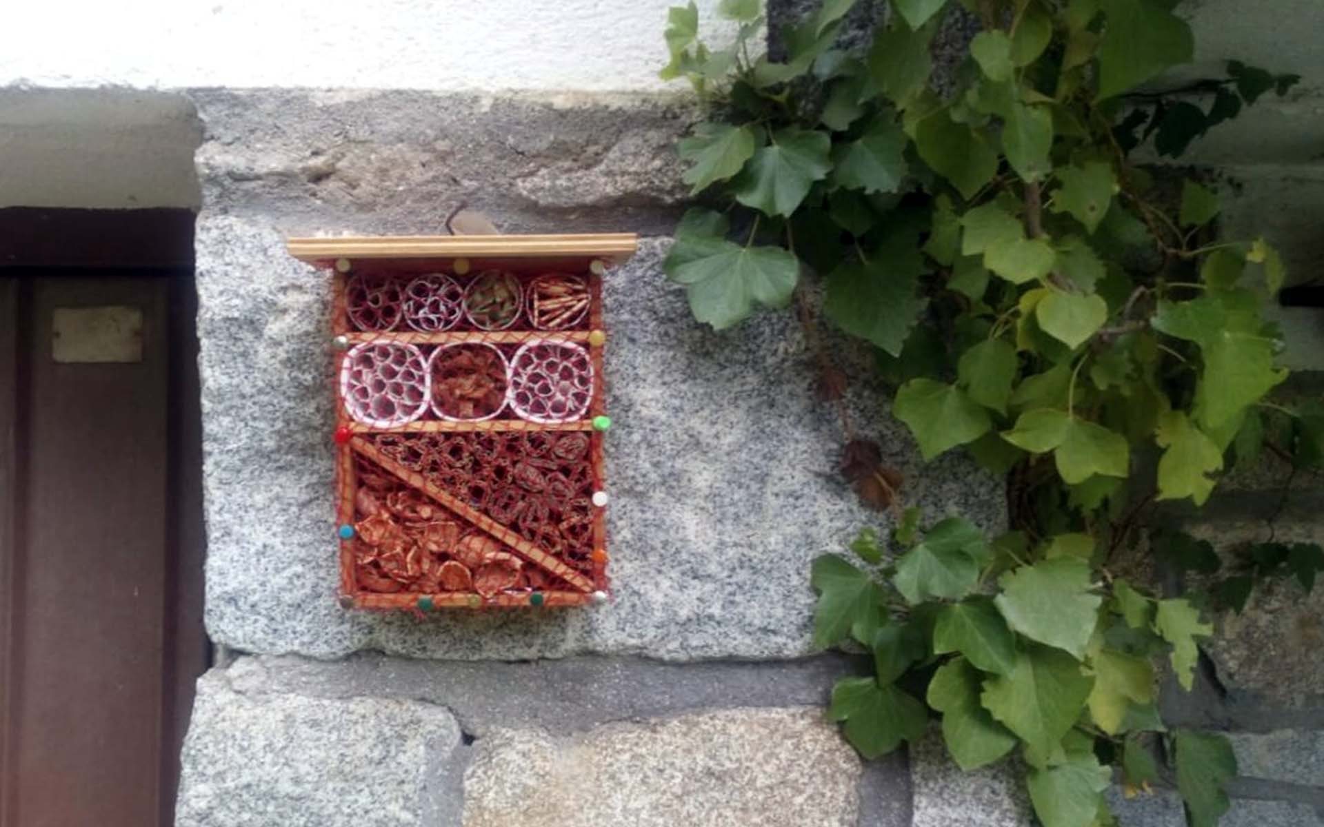 Construir Un Hotel De Insectos 3 Hoteles O Hábitats Para Insectos