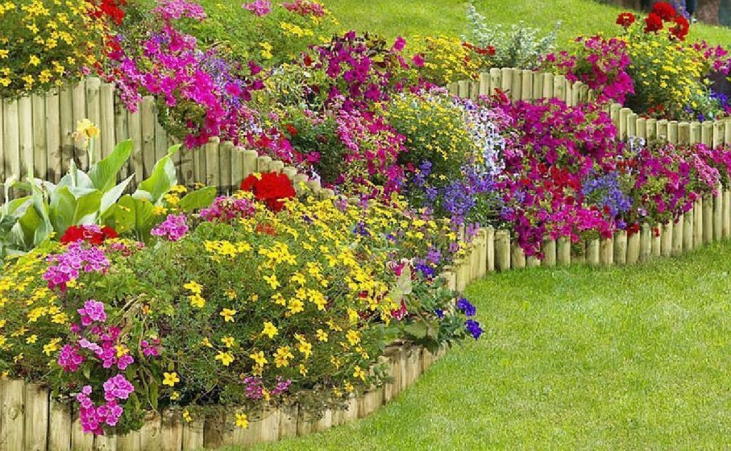 Bandas florales como estrategia para favorecer la biodiversidad ...