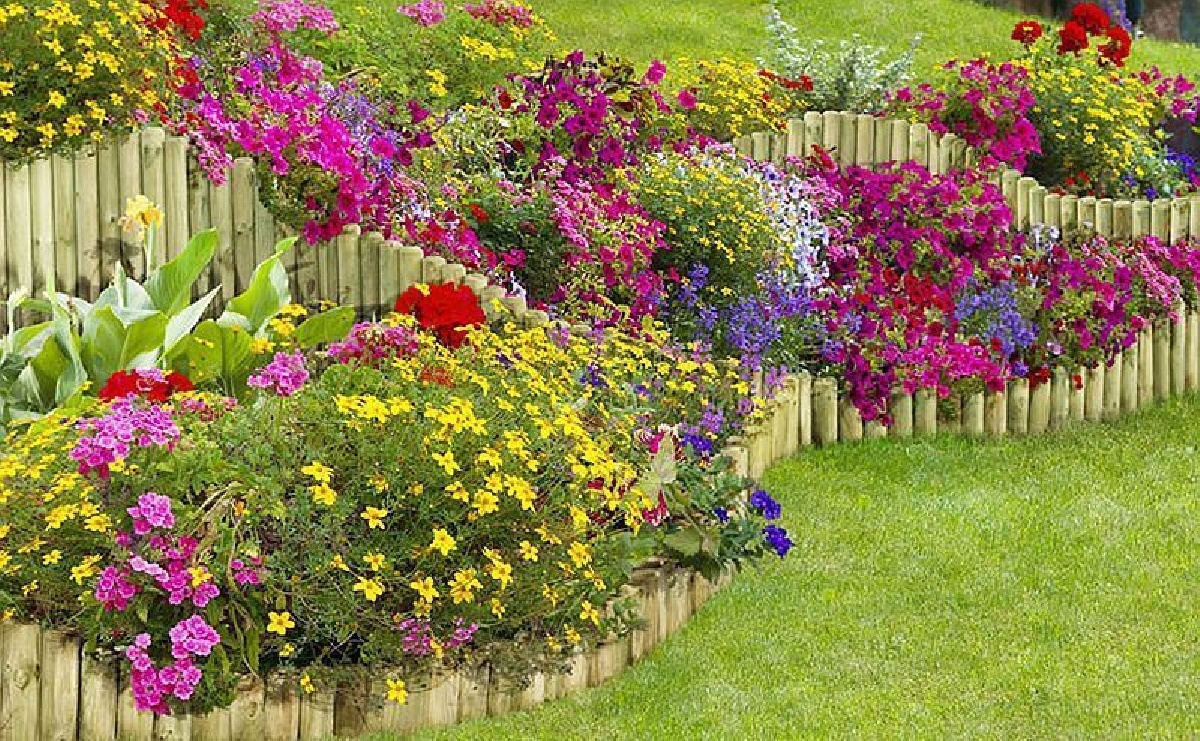 Bandas florales como estrategia para favorecer la biodiversidad ...