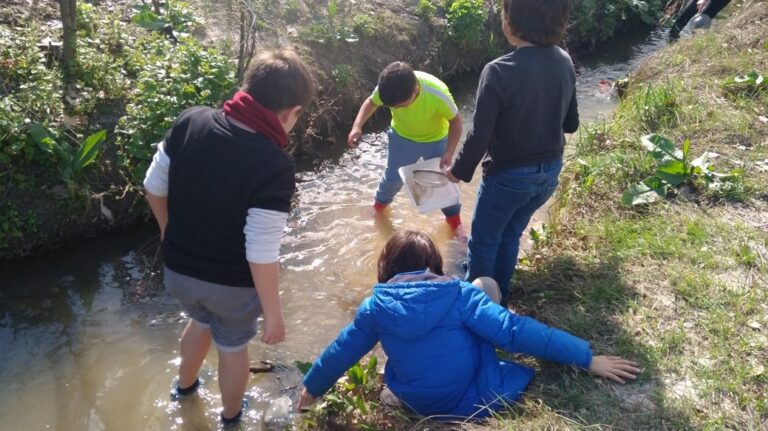 Yincana de la Biodiversidad – Centro de Educación Ambiental de Casa de ...