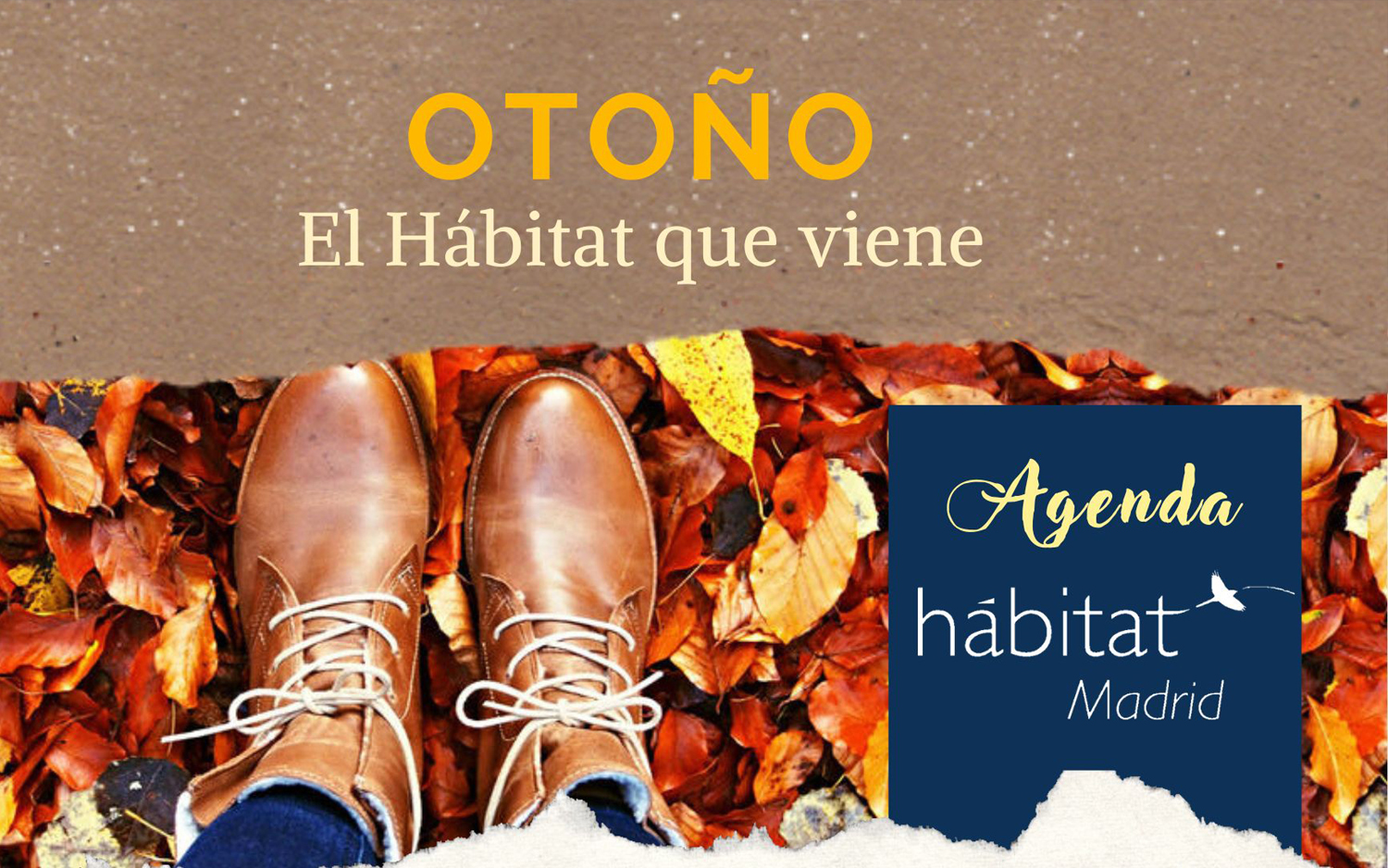 Hábitat de otoño 2022 – Centro de Educación Ambiental de Casa de Campo