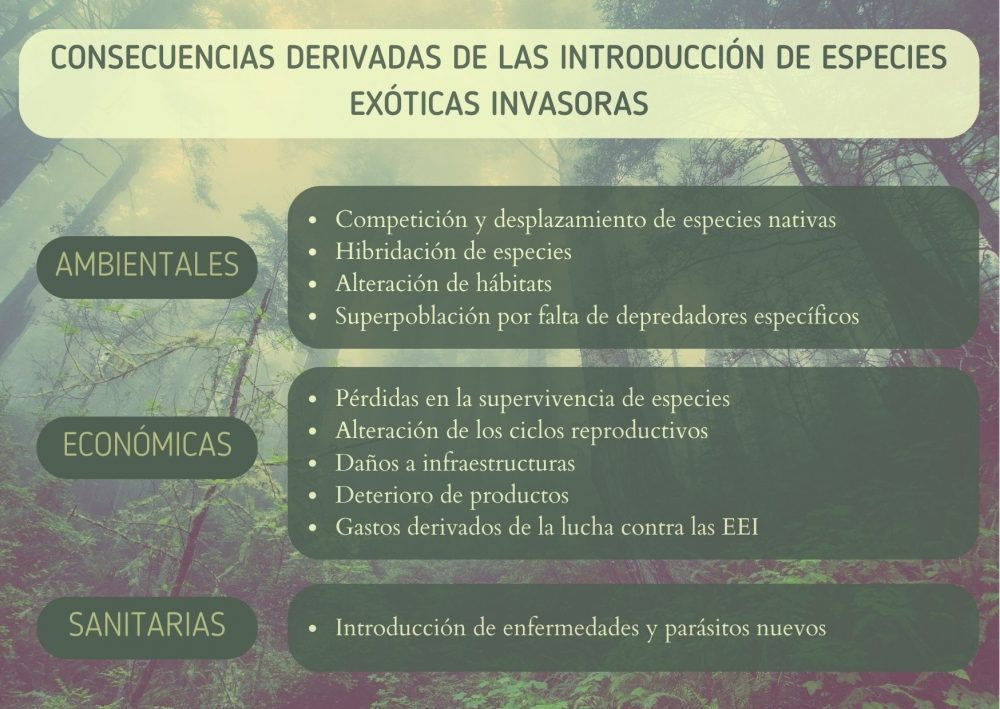 WEBINAR: Cangrejos y otros crustáceos invasores (SOS INVASORAS) – Centro de Educación Ambiental ...