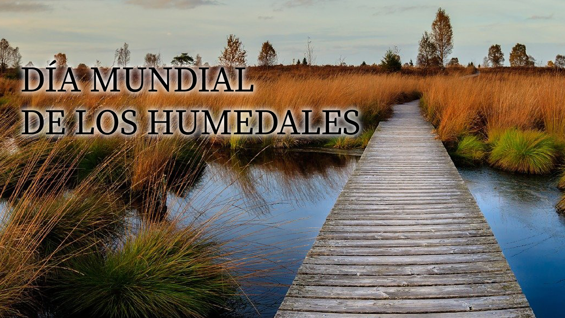 DÍA MUNDIAL DE LOS HUMEDALES - Centro de Educación Ambiental de Dehesa de la Villa