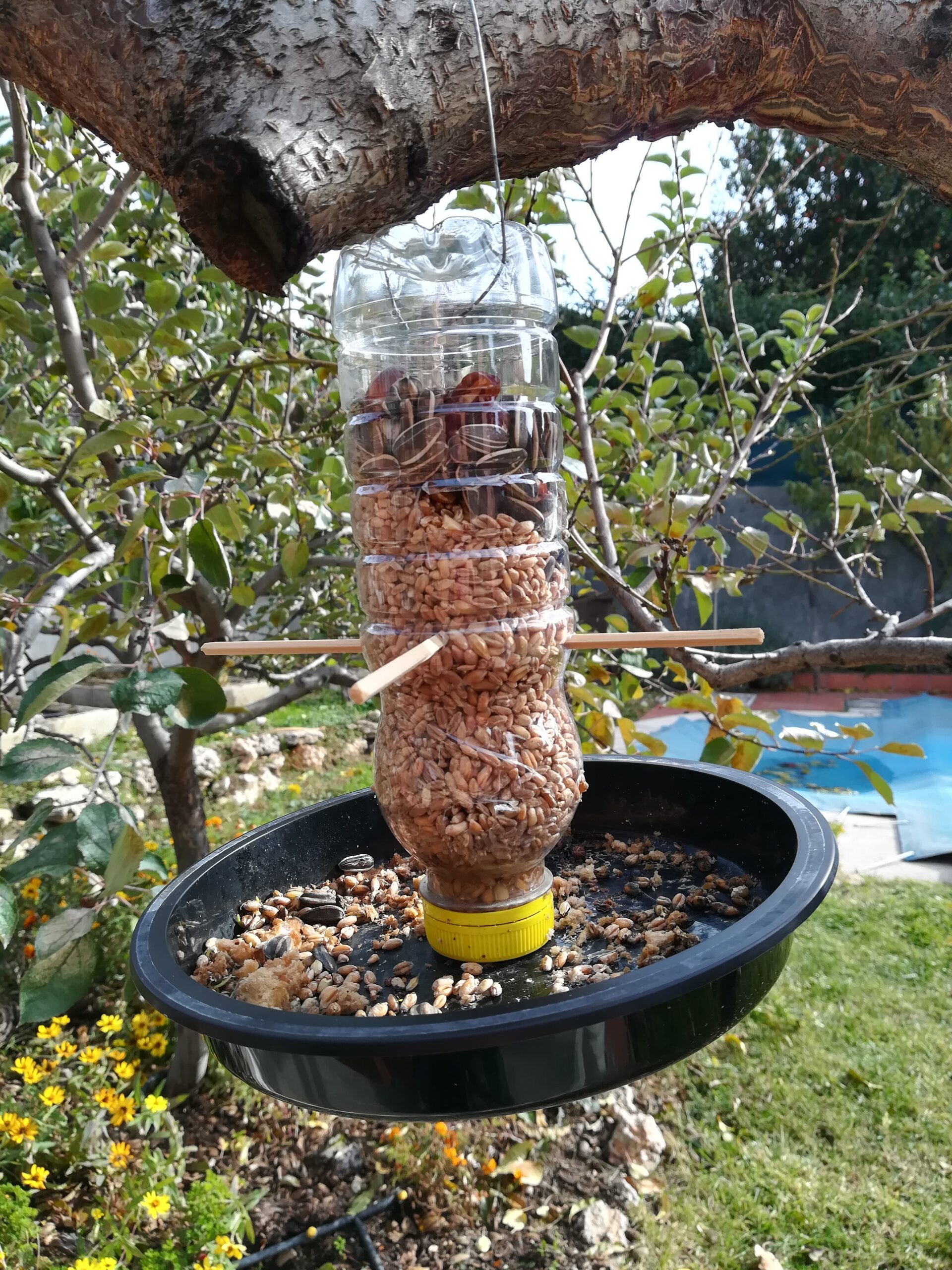 Taller de Comederos de aves (adultos) – Centro de Educación Ambiental ...