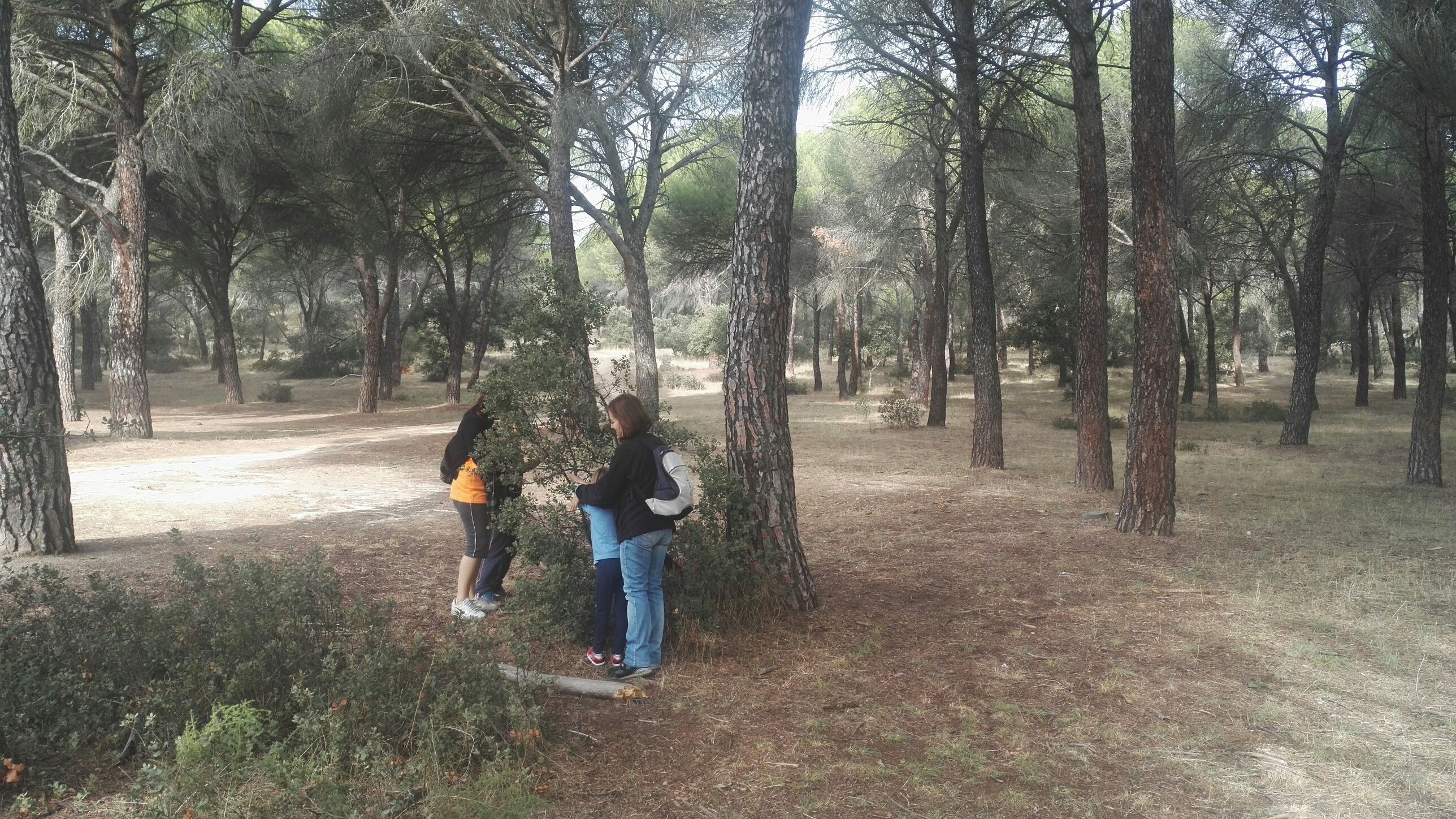 Descubre los rincones del monte de El Pardo