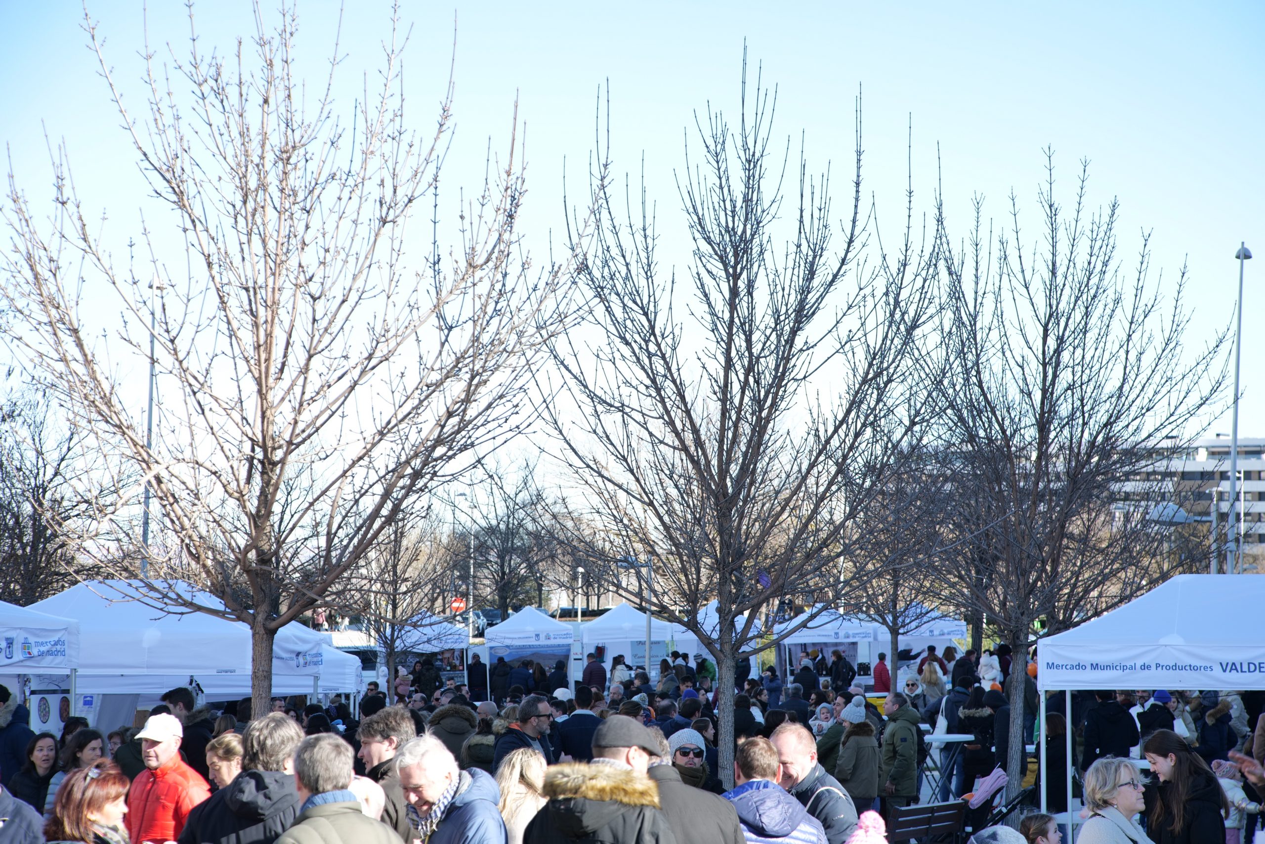 La huerta de Madrid llega al distrito – Hortaleza