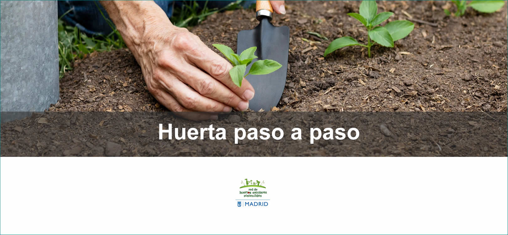 Preparación del medio de cultivo 2: Actuaciones necesarias para ...