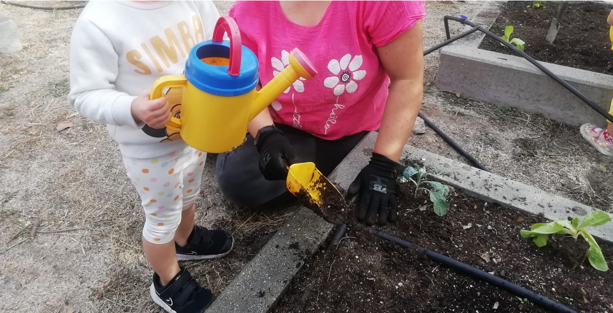 Los Coles nos Cuentan… Huerto Escuela Infantil La Cornisa – Huertos ...