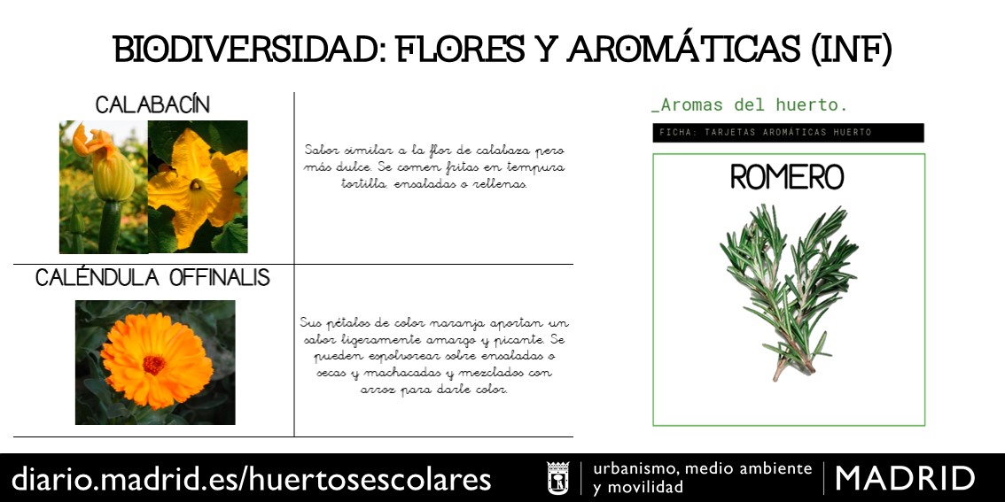 Actividades para la aplicación curricular: biodiversidad (flores y ...