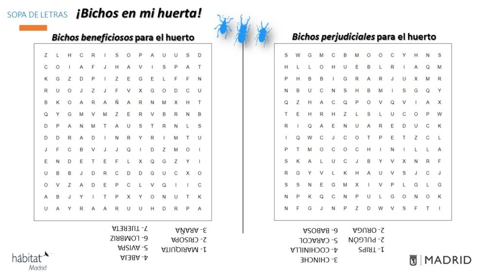 bichitos en mi huerto ¡y en la sopa! – Programa de Actividades Ambientales