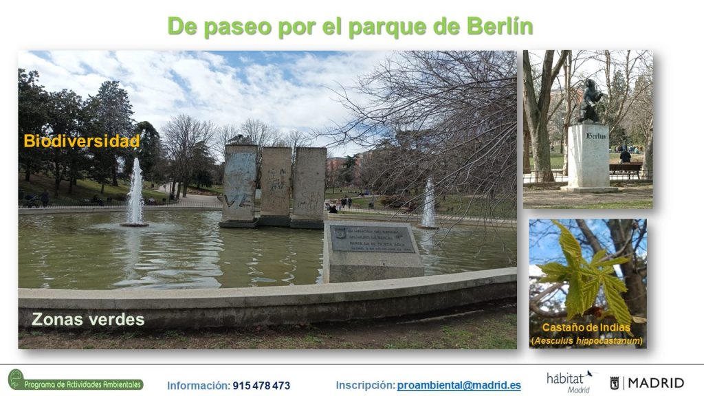 de paseo por el Parque de Berlín – Programa de Actividades Ambientales