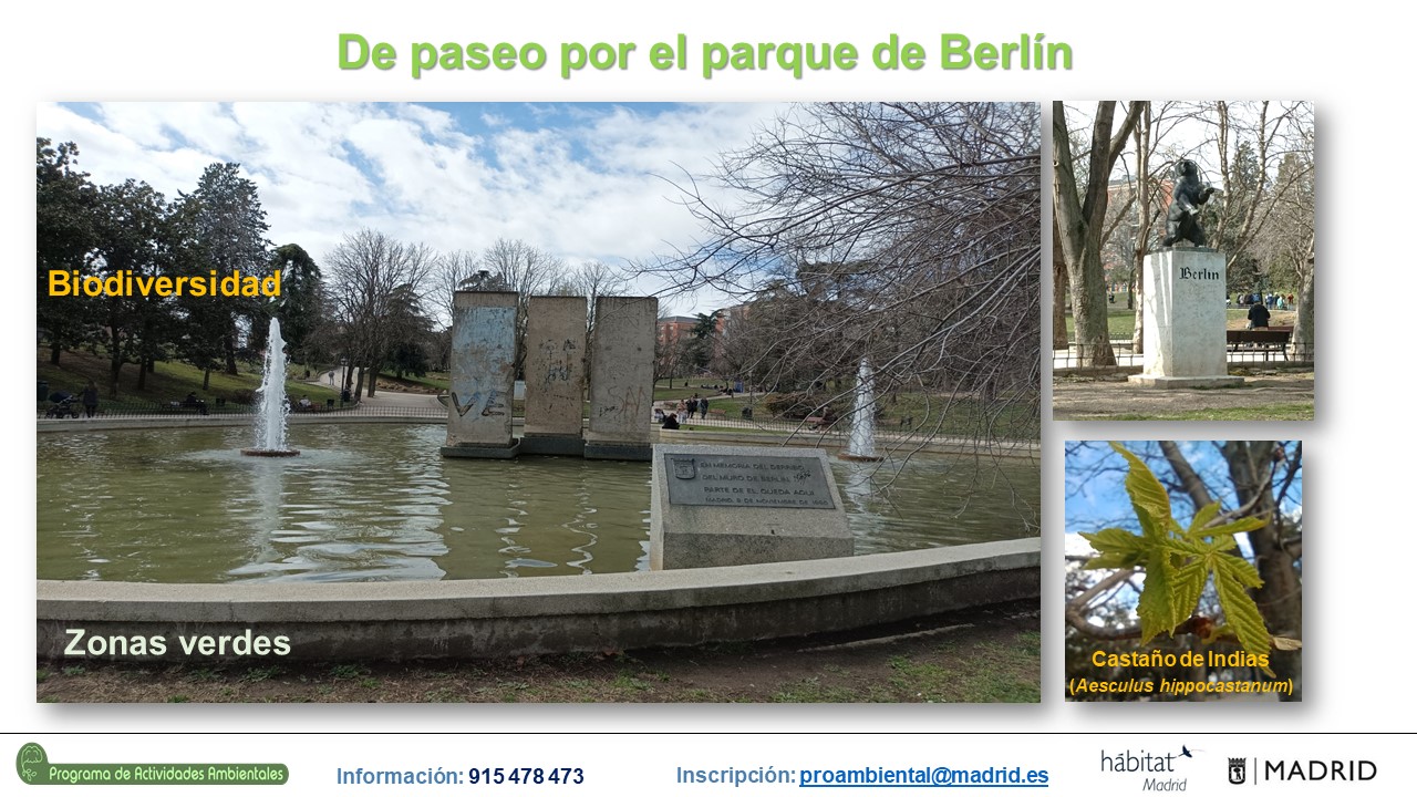 de paseo por el Parque de Berlín – Programa de Actividades Ambientales