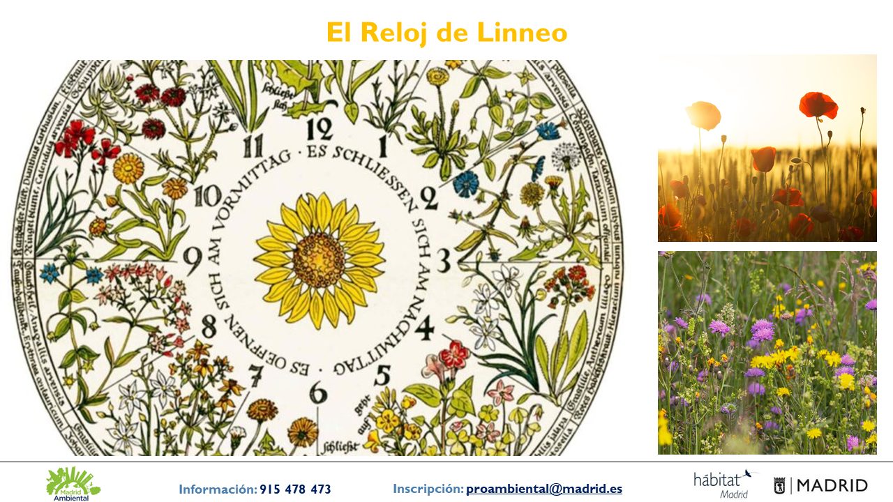 El Reloj de Linneo – Programa de Actividades Ambientales
