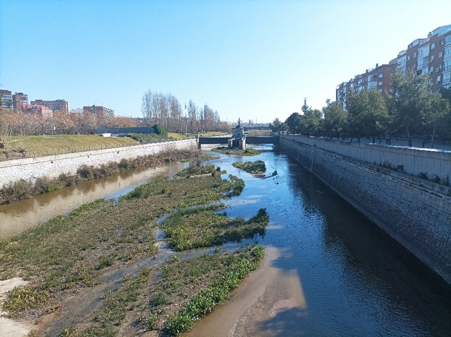 Aves que hemos visto hoy…parque del Manzanares – Madrid Río – 6 de mayo ...