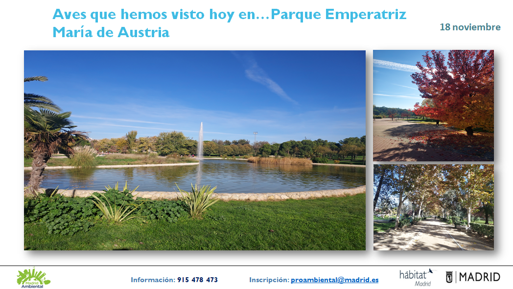 Aves que hemos visto hoy en…Parque Emperatriz María de Austria, 18 ...