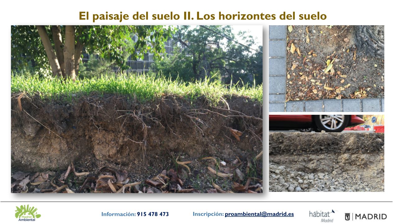 3 Capas De Suelo Suelo Superficial Subsuelo Lecho Rocoso