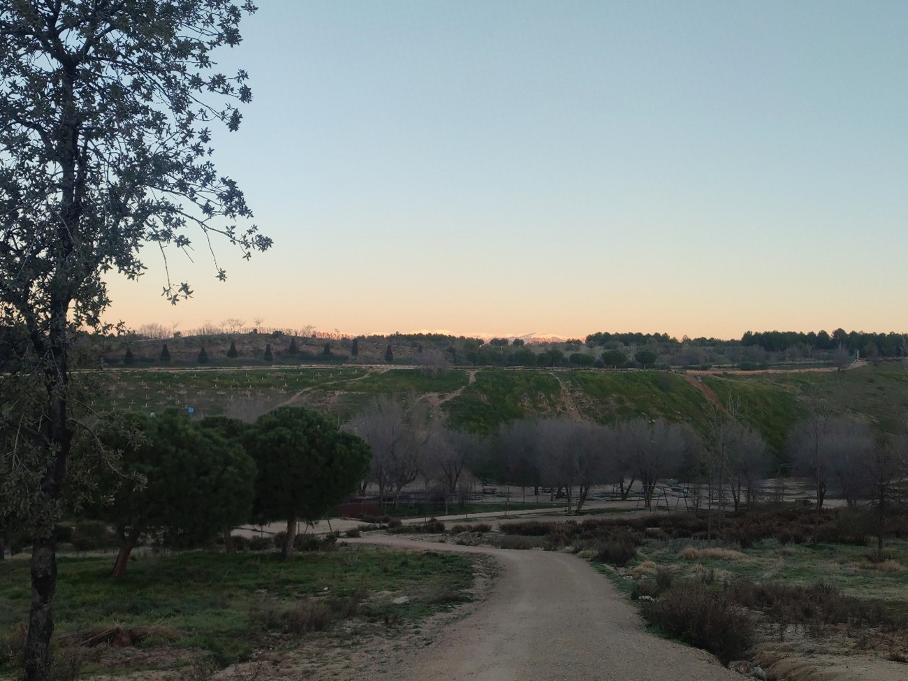 Aves que hemos visto hoy en… Parque forestal de Valdebebas – Felipe VI ...