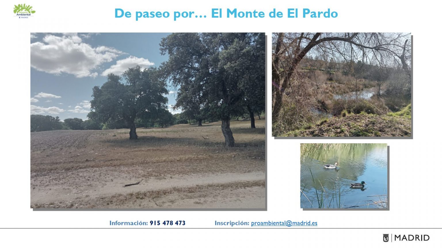 De paseo por… Monte de El Pardo – Programa de Actividades Ambientales
