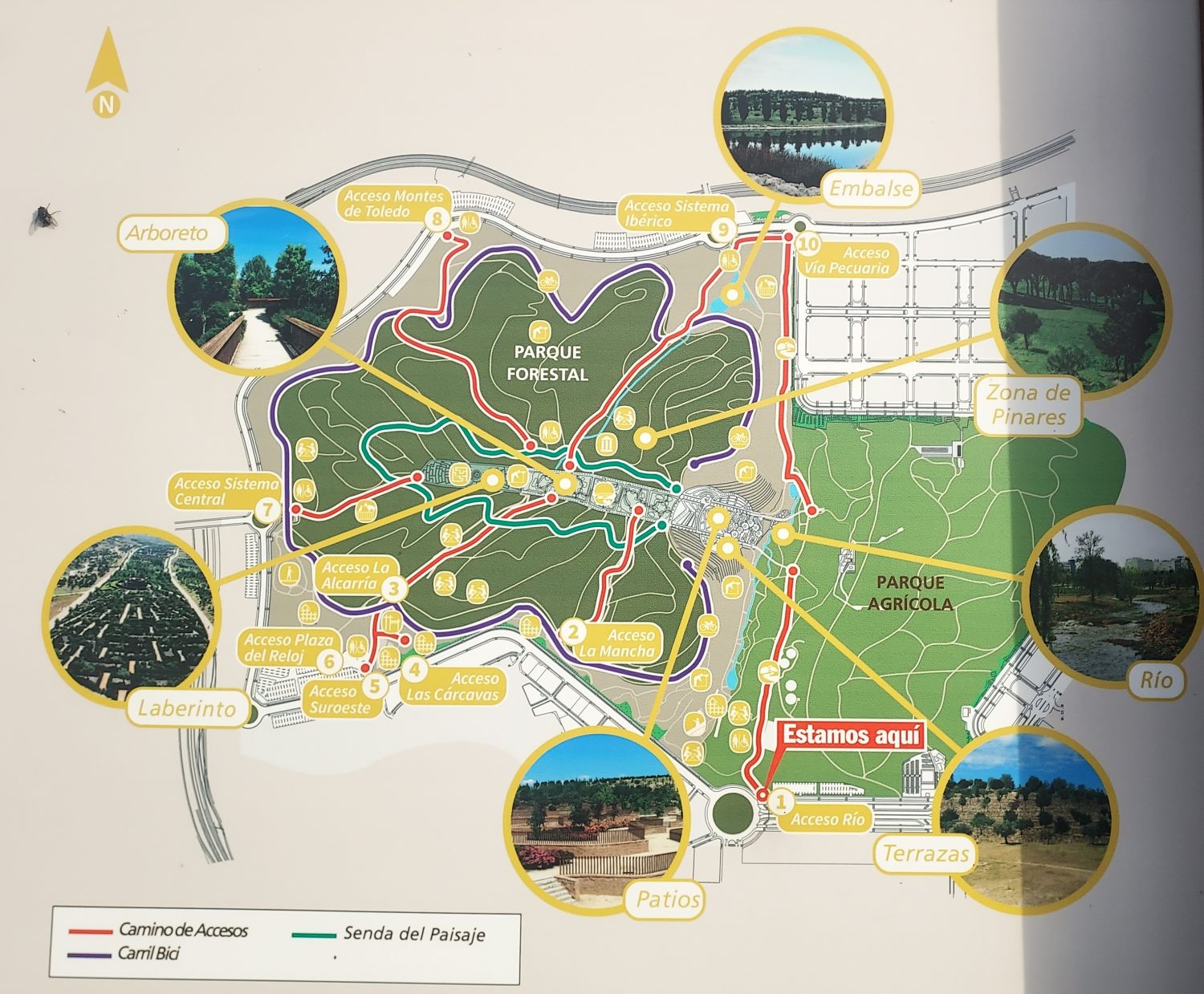 Aves que hemos visto hoy en…Parque Forestal de Valdebebas- Felipe VI ...