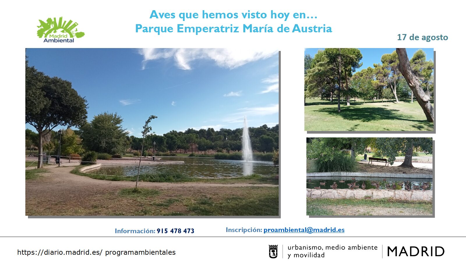 Aves que hemos visto hoy en… Parque Emperatriz María de Austria – 17/08 ...