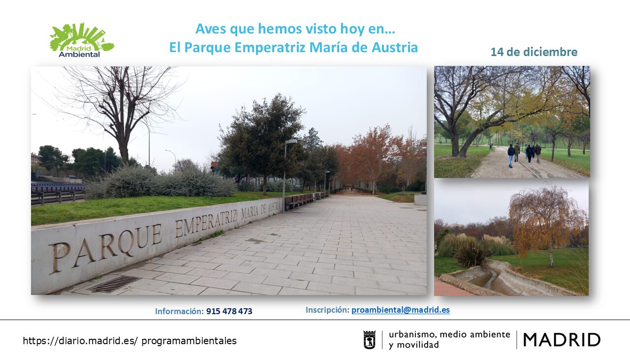 Aves que hemos visto hoy en… Parque Emperatriz María de Austria– 14/12 ...