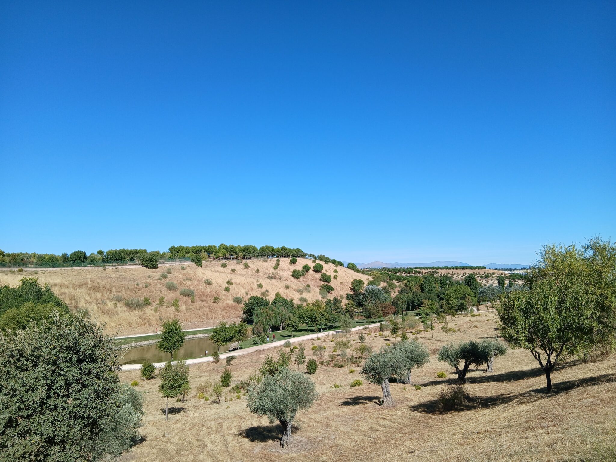 Aves que hemos visto hoy en… el Parque Forestal de Valdebebas - Felipe ...