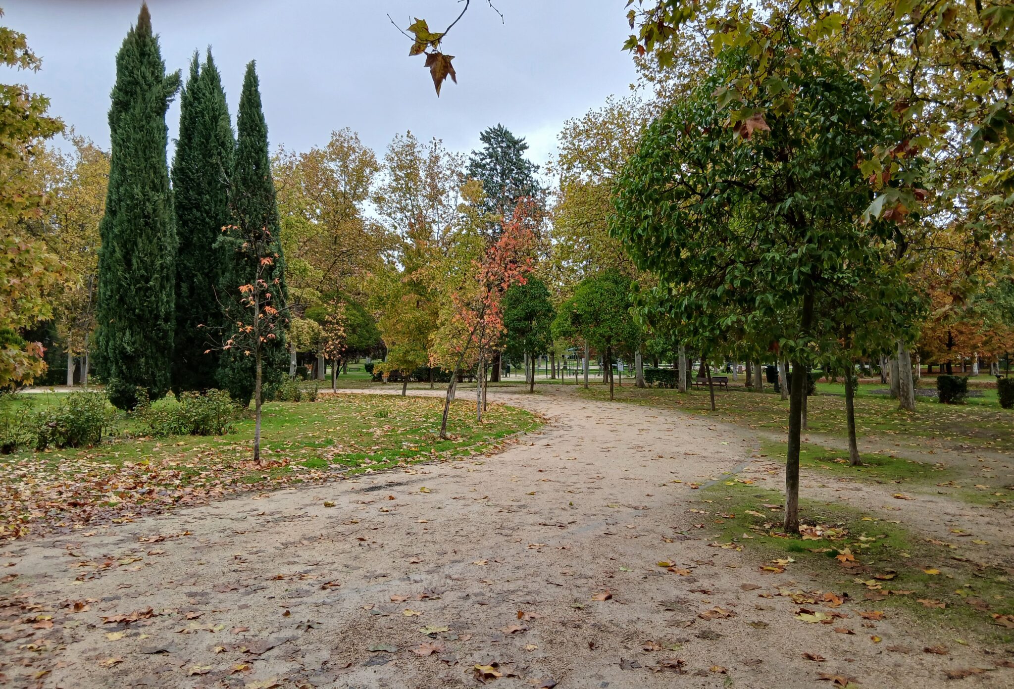 Aves que hemos visto hoy en… el Parque Emperatriz María de Austria – 15 ...