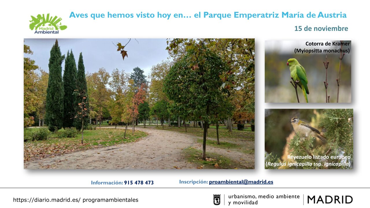 Aves que hemos visto hoy en… el Parque Emperatriz María de Austria – 15 ...