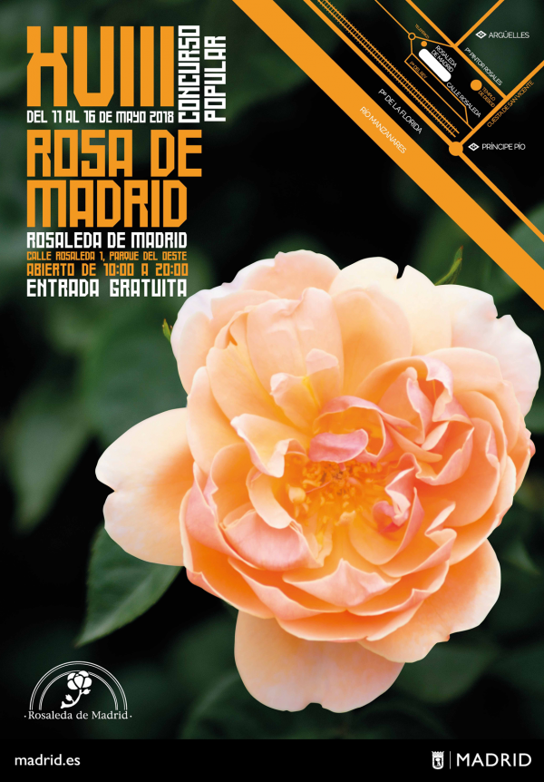 Ya está aquí la Fiesta de la Rosa, ¡ven a disfrutar y vota!