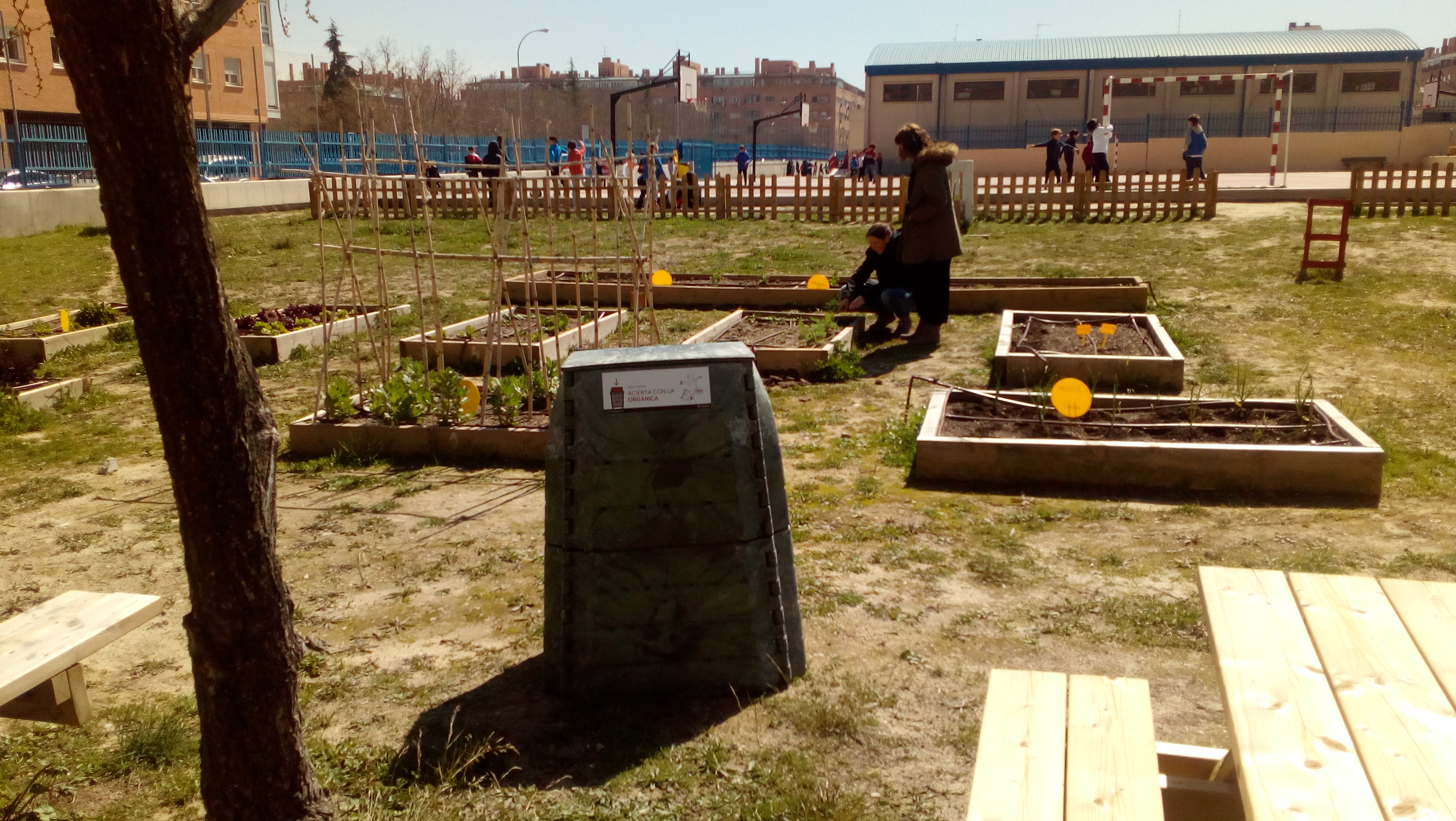 Cómo hacer compost en mi centro escolar