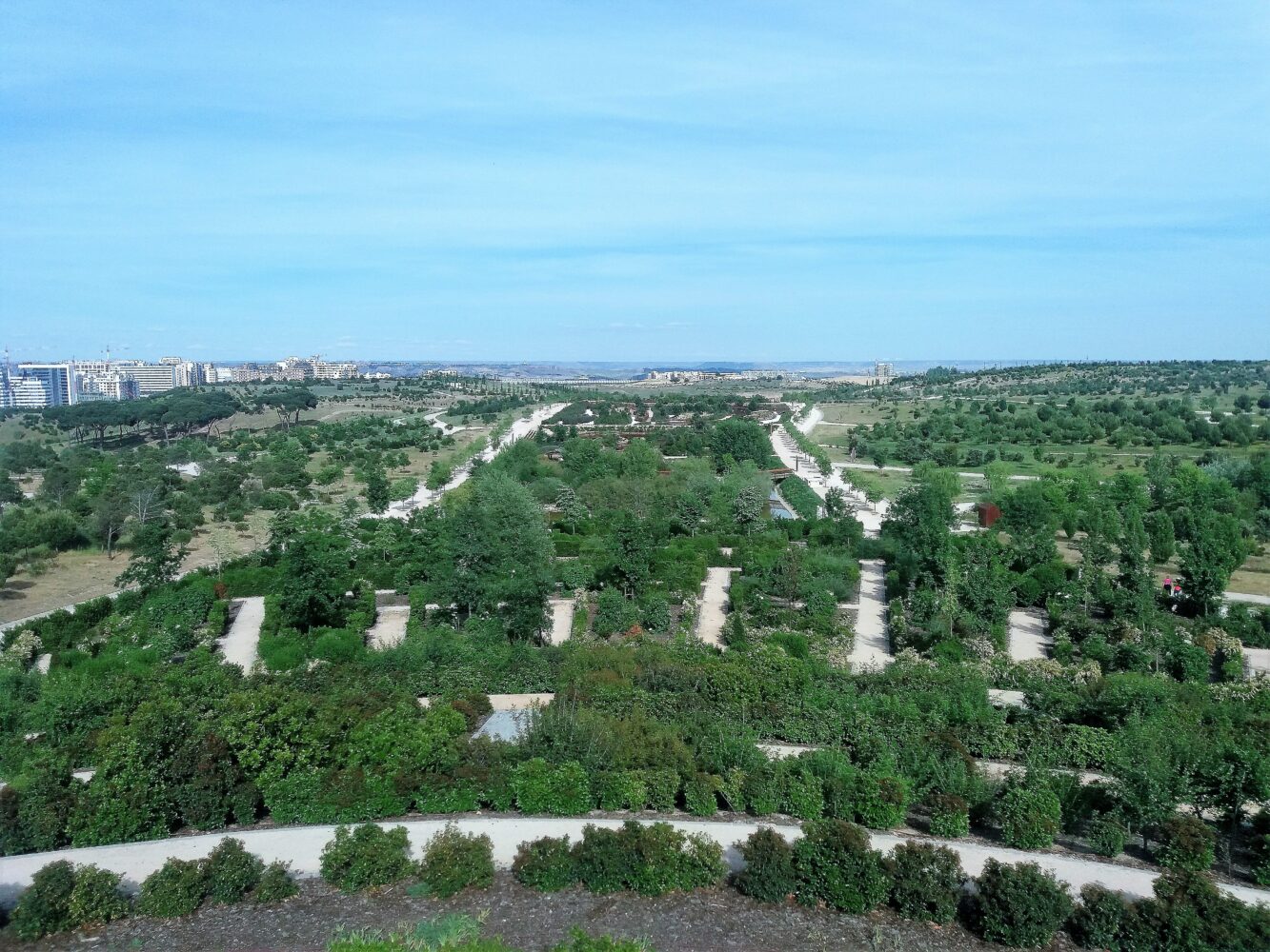 El Pleno aprueba la denominación del Parque Forestal de Valdebebas ...