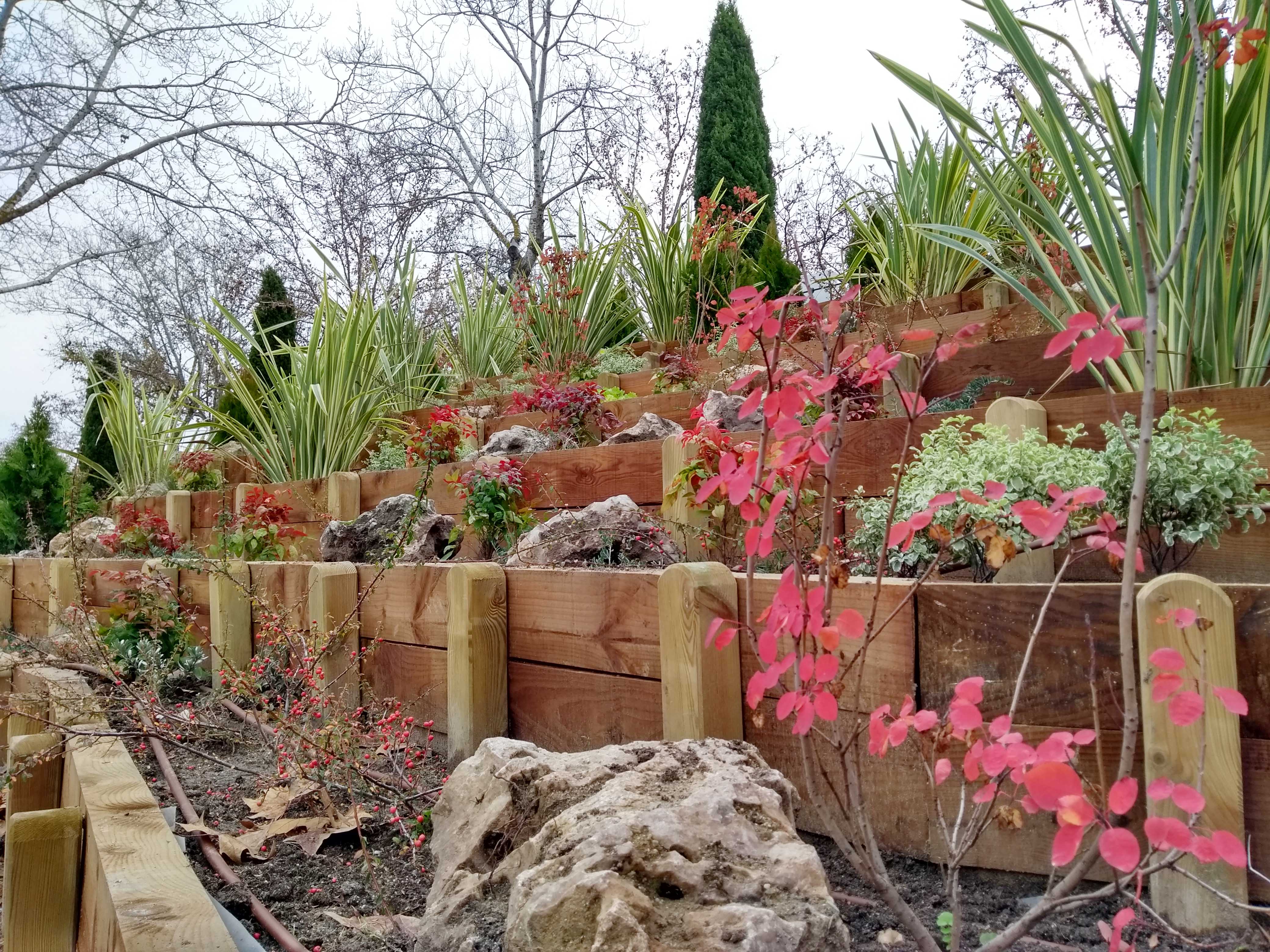 Nacen reservas de biodiversidad en taludes erosionados