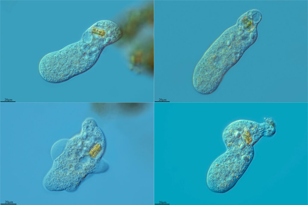 Talleres para todos los públicos, actividades y visitas guiadas ...