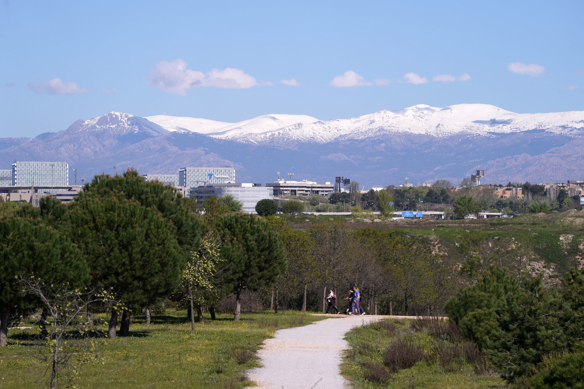 Madrid celebra el décimo aniversario del parque forestal de Valdebebas ...