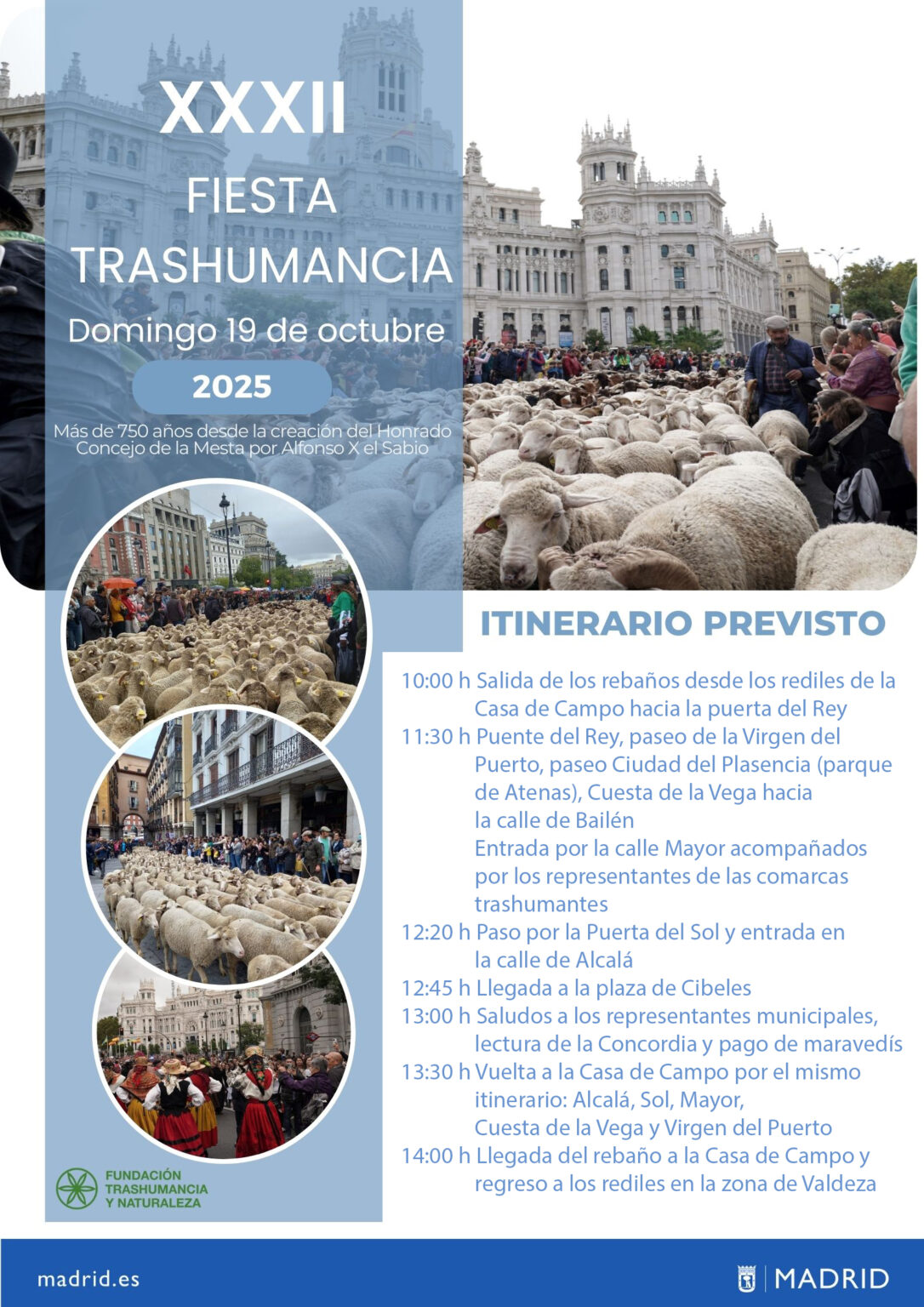 El rebaño trashumante vuelve a recorrer las calles del centro de Madrid ...